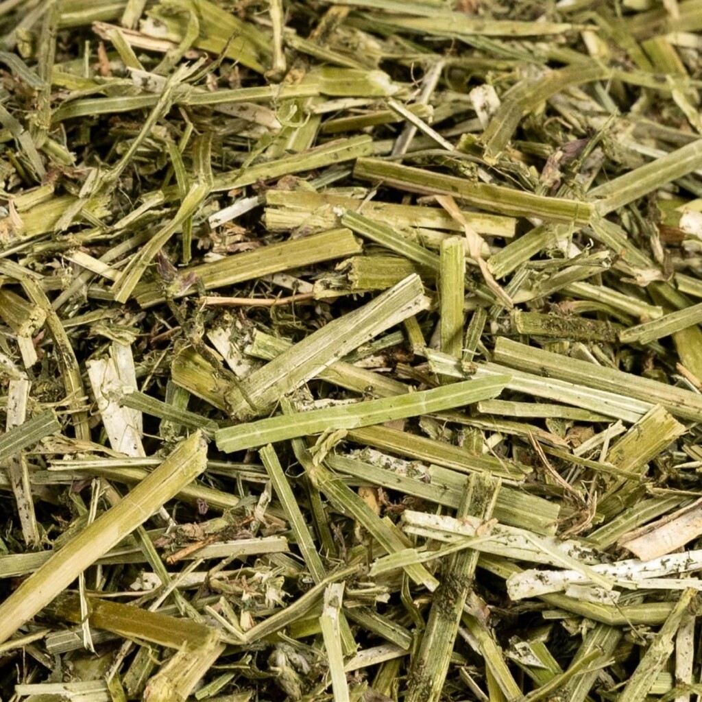 Luzerne-mix voor paarden, schapen, rundvee en varkens Uw leverancier ...